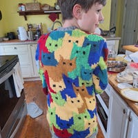 Crochet Pattern - the Cursed Sweater - Etsy Australia