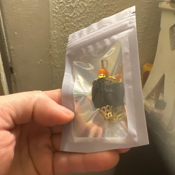 Large Rose of Jericho Resurrection Plant Rosa De Jerico Reviving House ...