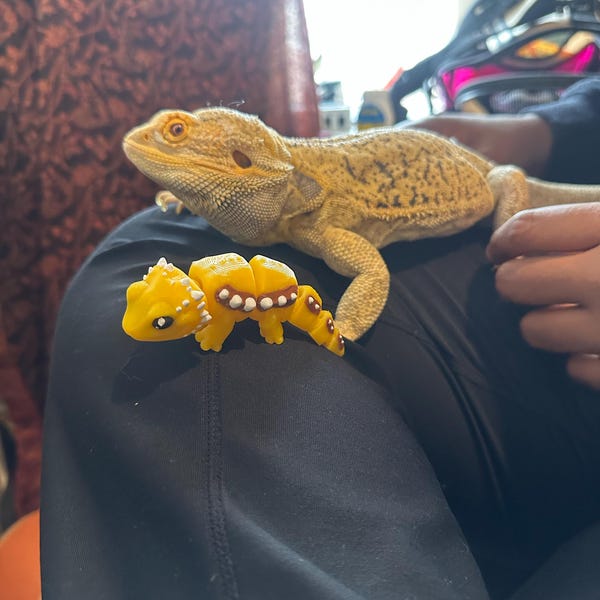 Mini Bearded Dragon - Articulated Flexi Reptile Fidget - Etsy