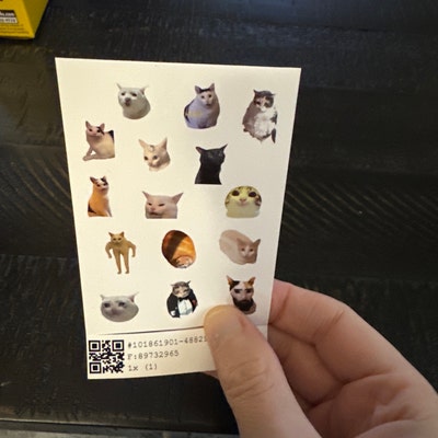 Professional Yapper Funny Cat Meme T-shirt, Gift for Her, Goofy Ahh ...