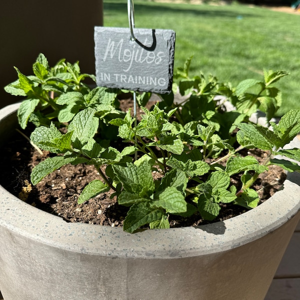 Farmhouse Herb Bucket Planter - Etsy