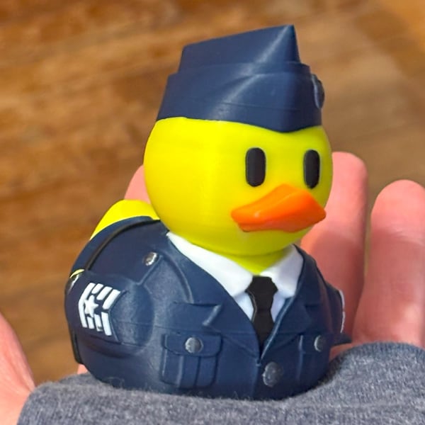 Air Force Duck 3D Printed. NOW OFFERING RANKS E-1 ----> E-9!! - Etsy