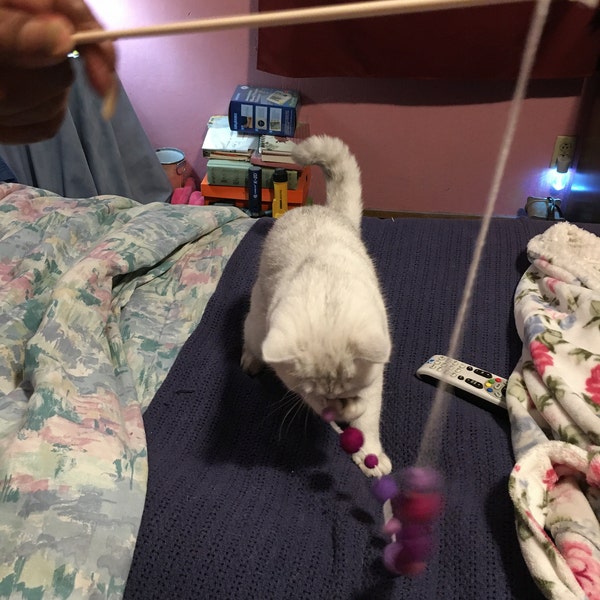 Customizable Felt Ball Fishing Cat Toy - Felted Balls on Knotted Cord ...