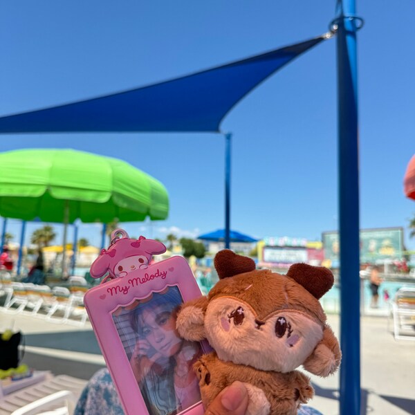 Enhypen En-dolls | Animal Fanmade Plushie | Jungwon | Heeseung | Jake ...