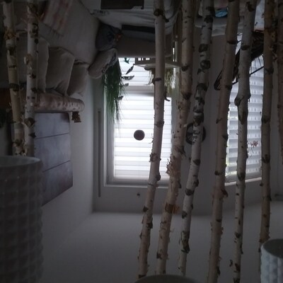 Modern Scratching Post Made of Birch Wood - Etsy