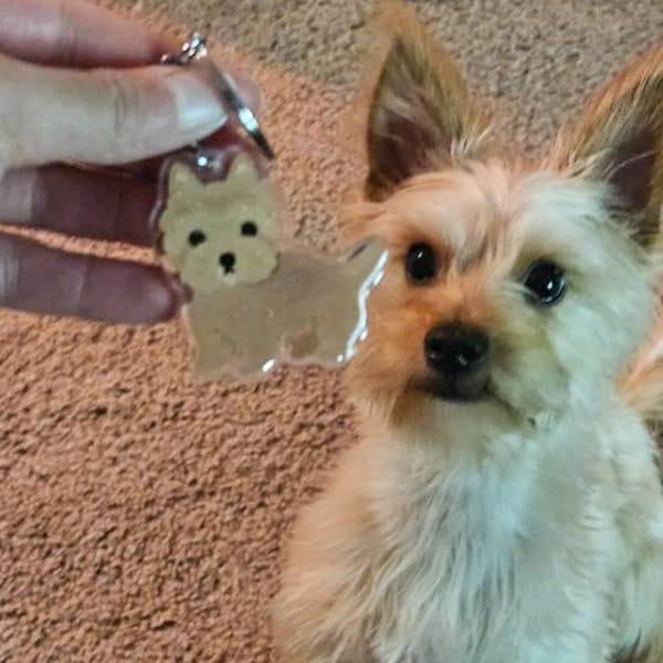 Orange Scaber Isopod Roly Poly Waterproof Die Cut Sticker | Kawaii ...