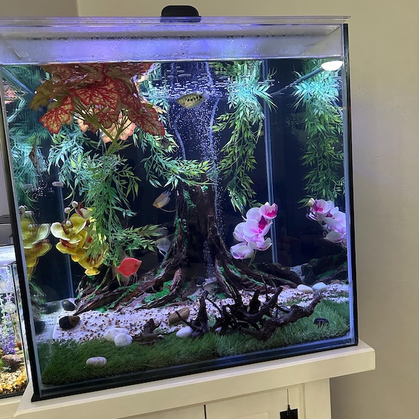 Driftwood Aquarium Centerpiece: Natural Rock Cave Fish Tank Decoration ...