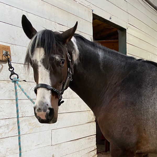 Patience Pole Swivel Top Quick Setup Bracket - Etsy