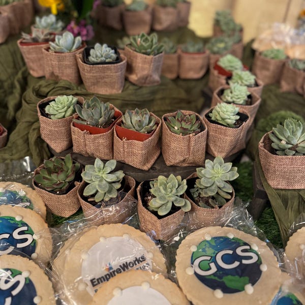 Live Succulents With Burlap Wraps | Wedding Party, Baby Shower Favors ...