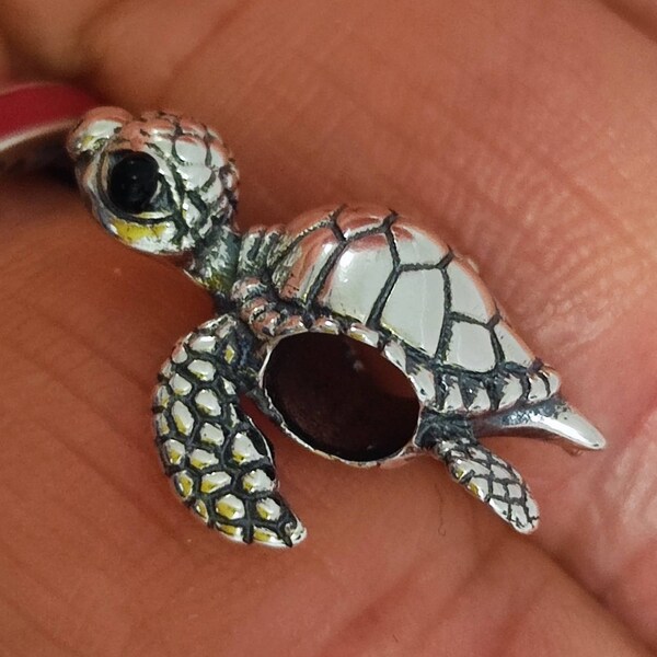 Dreamy Multi-color Shell Ocean Charm, for Pandora Charm Bracelet ...