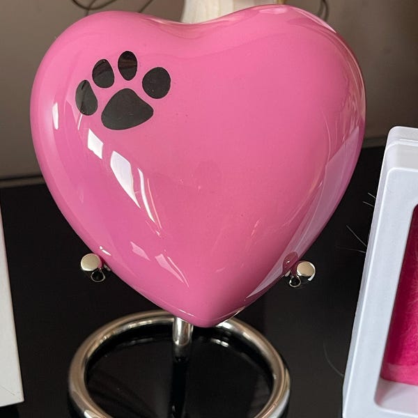 Game Over Cremation Urn for Ashes - Funeral Urn for Human - Urn for ...