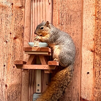 Helping Hand Wall Mounted Key Holder / Wallet Holder / Glasses Holder ...