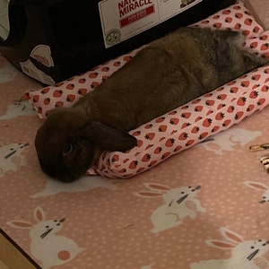 Bunny Snug Bed | Etsy