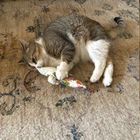 Thread Rack PDF Pattern & Plans to BUILD Your OWN Free Standing -6 Feet ...