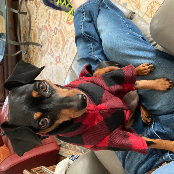 Lumberjack - Small Breed Dog Coat - Poncho - Etsy