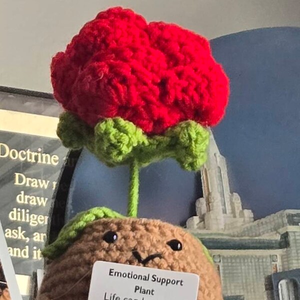 Adorable Handmade Crochet Pumpkin,emotional Support Pumpkin,positive ...