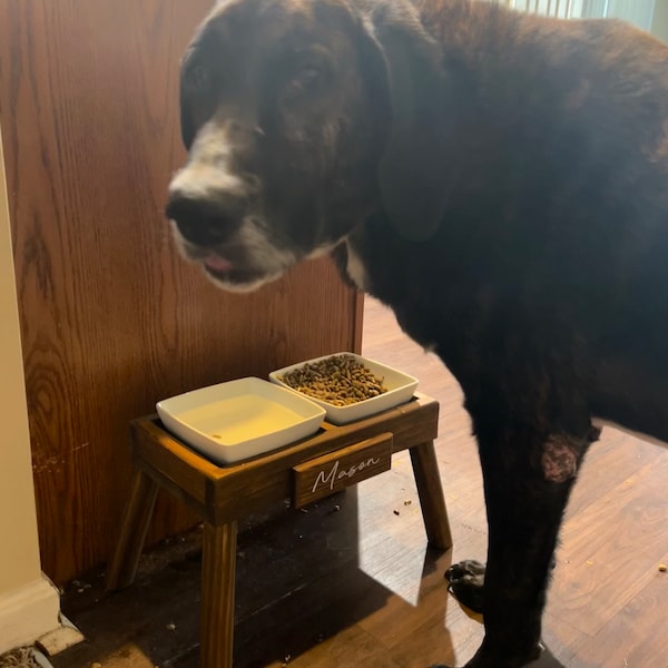 Modern Square Dog Bowl Stand | Elevated Pet Feeder | Raised Dog Bowls ...