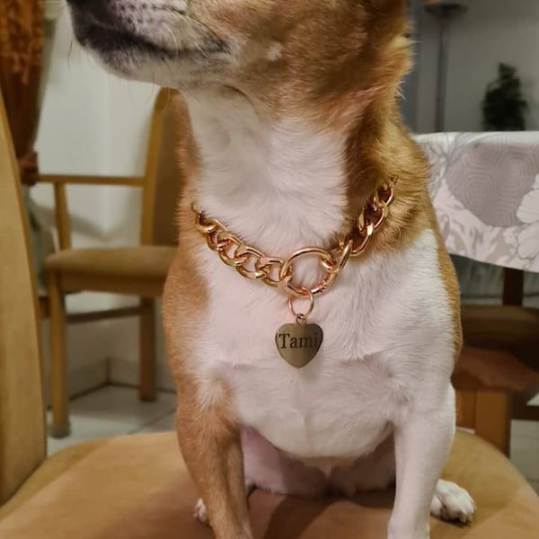 Chain Cat Collar, Medium Cuban Link Cat Necklace, Lightweight Cat ...