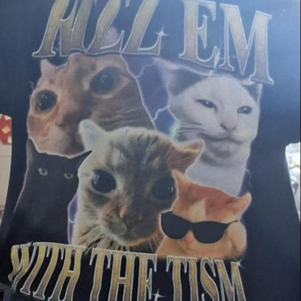 Rizz Em With the Tism Vintage Graphic Tee, Retro 90s Funny Cat Meme ...