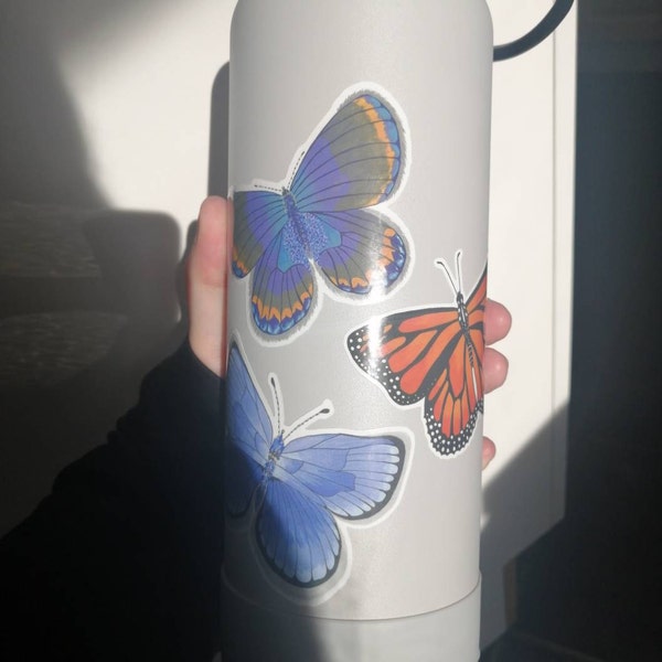 Snowshoe Cat Sticker, Cat Stickers, Hydro Flask Stickers, Cat Themed ...