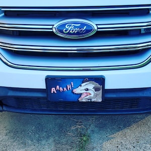 Funny Possum License Plate Screaming Possum License Plate Possum Front ...