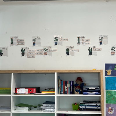 Modern Boho Plants Birthday Display Rustic Boho Classroom Decor ...