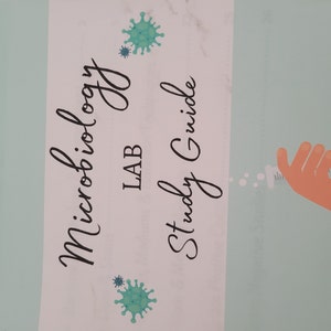 Anatomy and Physiology Action Potential Notes | Phases of an Action ...