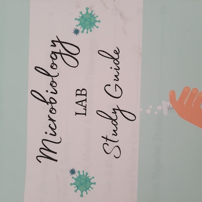 Microbiology Lab Study Guide Microbiology Notes Bundle - Etsy