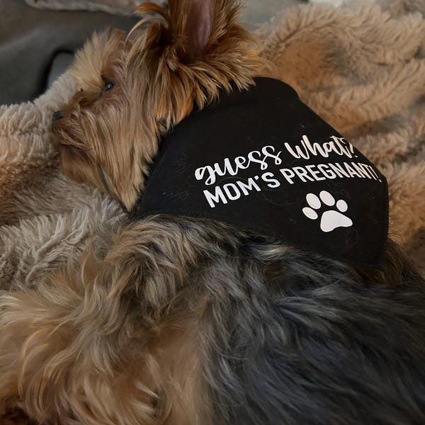 Puppy Milestone Interchangeable Sign, Puppy Milestones, Dog Milestone ...