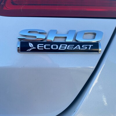 Uncoated Ford Ecobeast, Ecobeauty or Twin Turbo: 2 Emblem Ecoboost ...