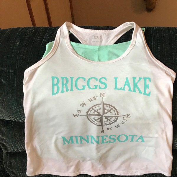 Briggs Lake Minnesota MN Nautical Location Compass Rose Latitude ...