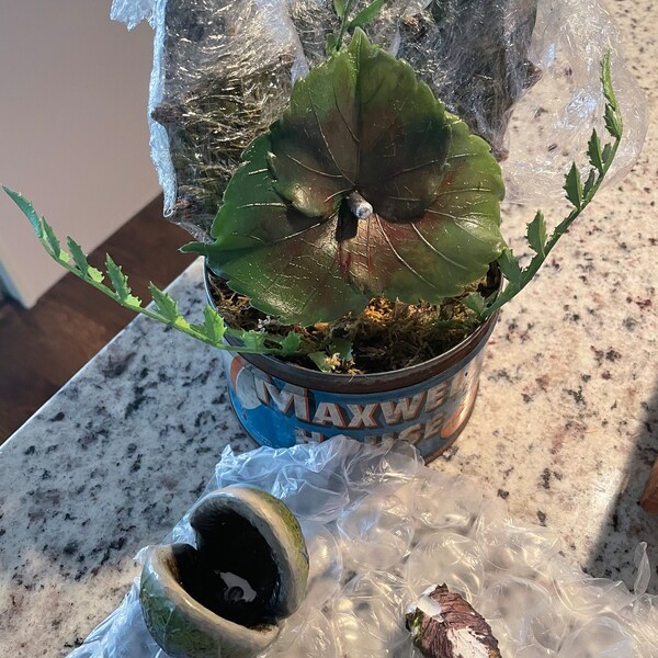 Baby Audrey 2 - Etsy