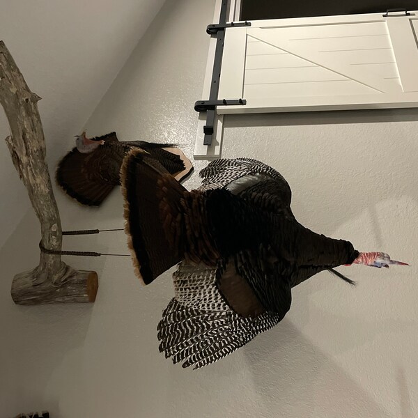 Turkey Tote Deluxe - Etsy