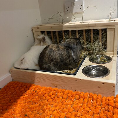 Rabbit Hay Feeder 3 in 1 Hay & Food Bowls With Litter Tray - Etsy UK