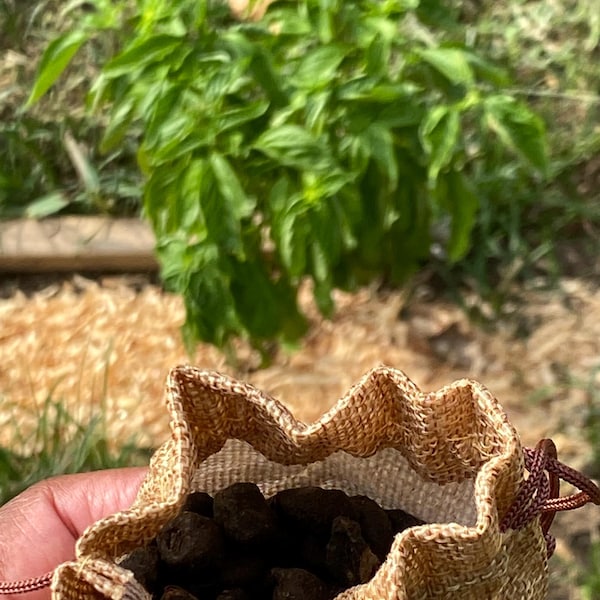 Alpaca Poop Fertilizer 100% All Natural, Alpaca Tea, Alpaca Black Gold ...