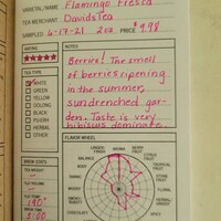 Original Mead Journal - 33 Mazers of Mead Notebook and Diary - Etsy Canada