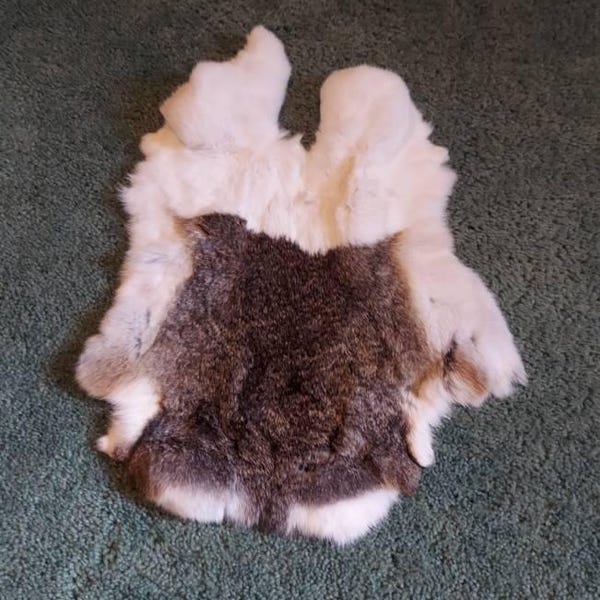 Brown Rabbit Hide - One Jumbo - Natural Rabbit Fur - Lot No. 230125-I ...