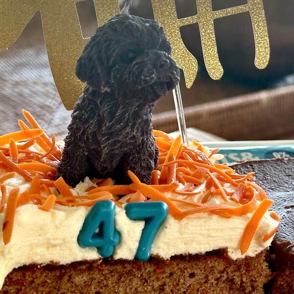 Schnauzer Candle - Etsy