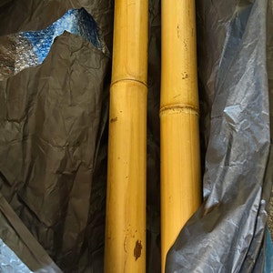 2 Fresh Cut Bamboo Choose From 1 to 8 Feet Long - Etsy