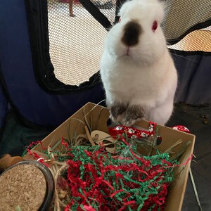 Stacking Cups Foraging & Enrichment Toy for Rabbits - Etsy