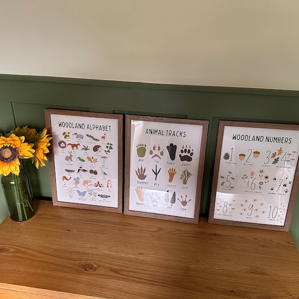 Set of 3, Woodland Alphabet, Woodland Numbers, Educational Prints ...
