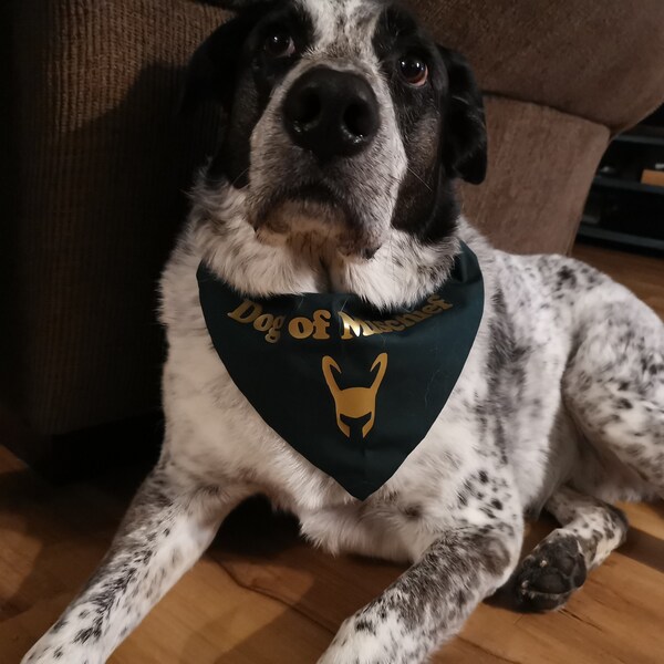 Loki Dog of Mischief Bandana, Loki Symbol Bandana, Marvel Dog Bandana ...