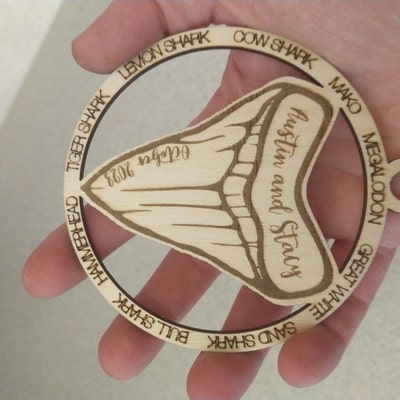 Shark Teeth MEGALODON Shadow Box for Shark Teeth, Small Shells, Fossils ...