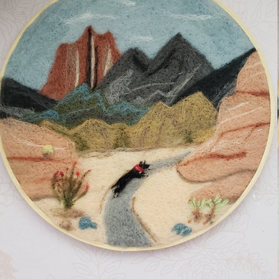 Desert Trail Needle Felting Kit Beginner Friendly Includes Video ...