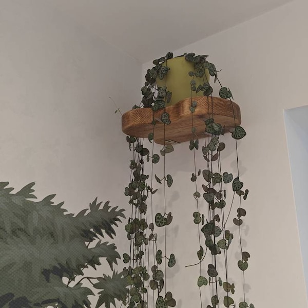 FORET Small Rustic Flower Live Edge Solid Wood Chunky Scaffold Floating ...
