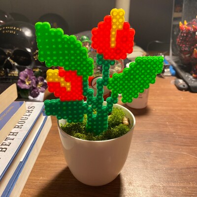 Gen 3 Hoenn Starters Treecko Grovyle Sceptile Torchic Combusken ...