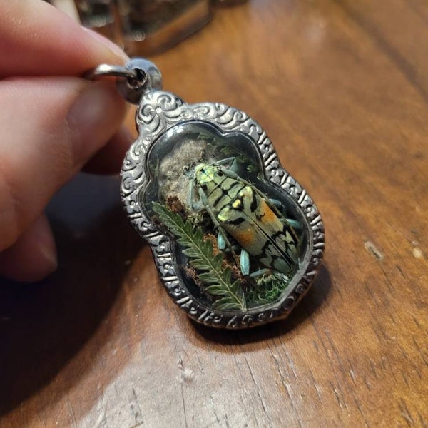 Shadow Box Pendants, Terrarium, Engraved Necklace Trays, Clear Locket ...