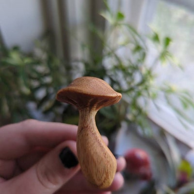 DAYDREAMER CAR CHARM Car Charm Rear View Mirror Charm Car Accessories ...