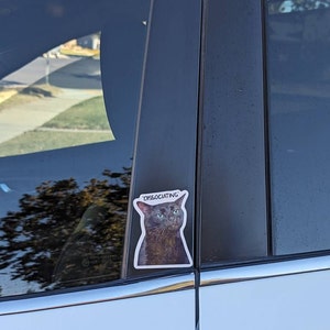 Dissociating Sticker, Zoning Out Black Cat Meme, Dissociative Sticker ...