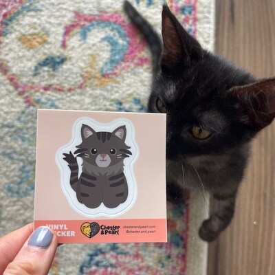 Cat Notepads Set of 4, Cute Cat Stationery Set, Notepad for Teacher ...